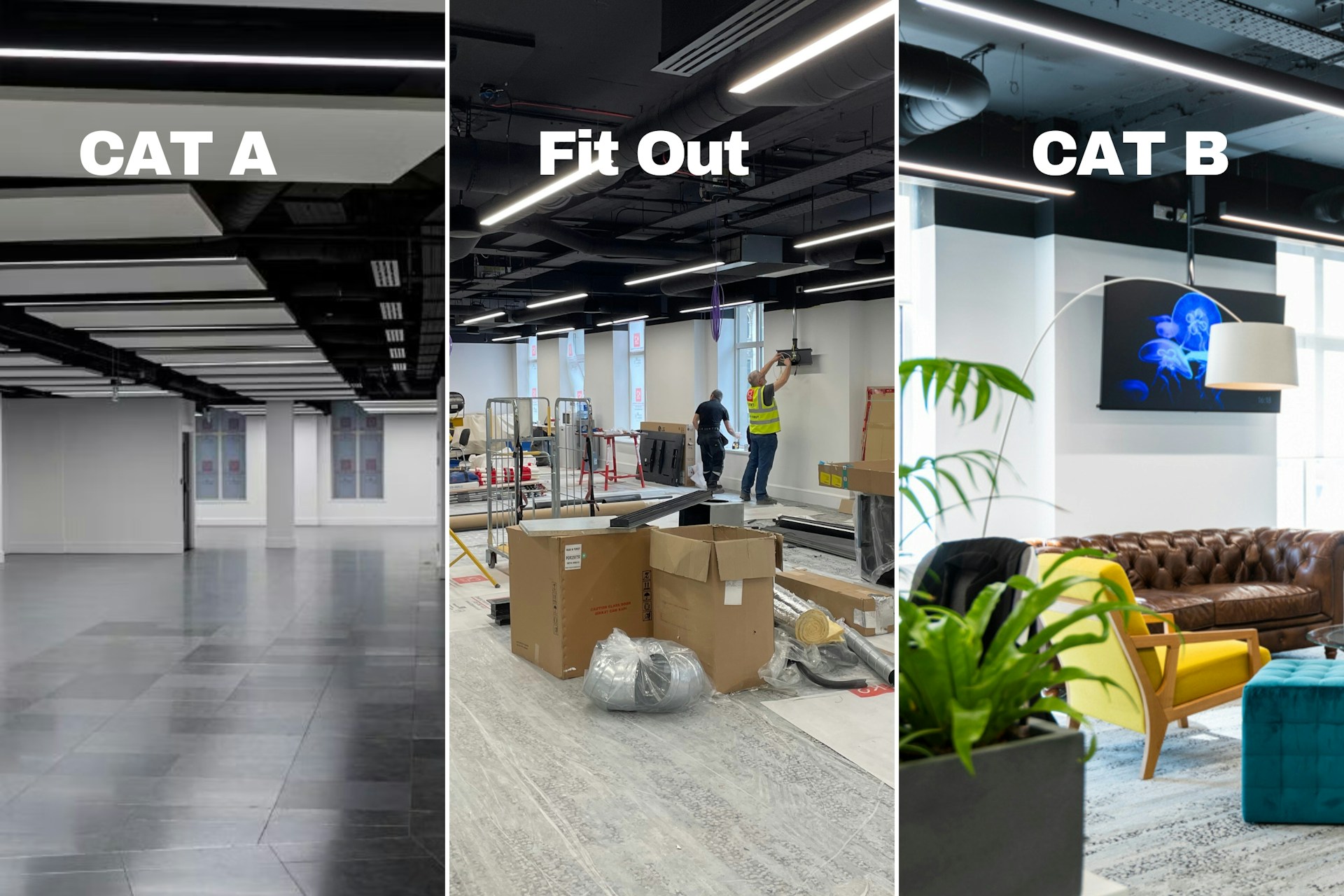 What Exactly is an Office Fit Out? - A Comprehensive Guide